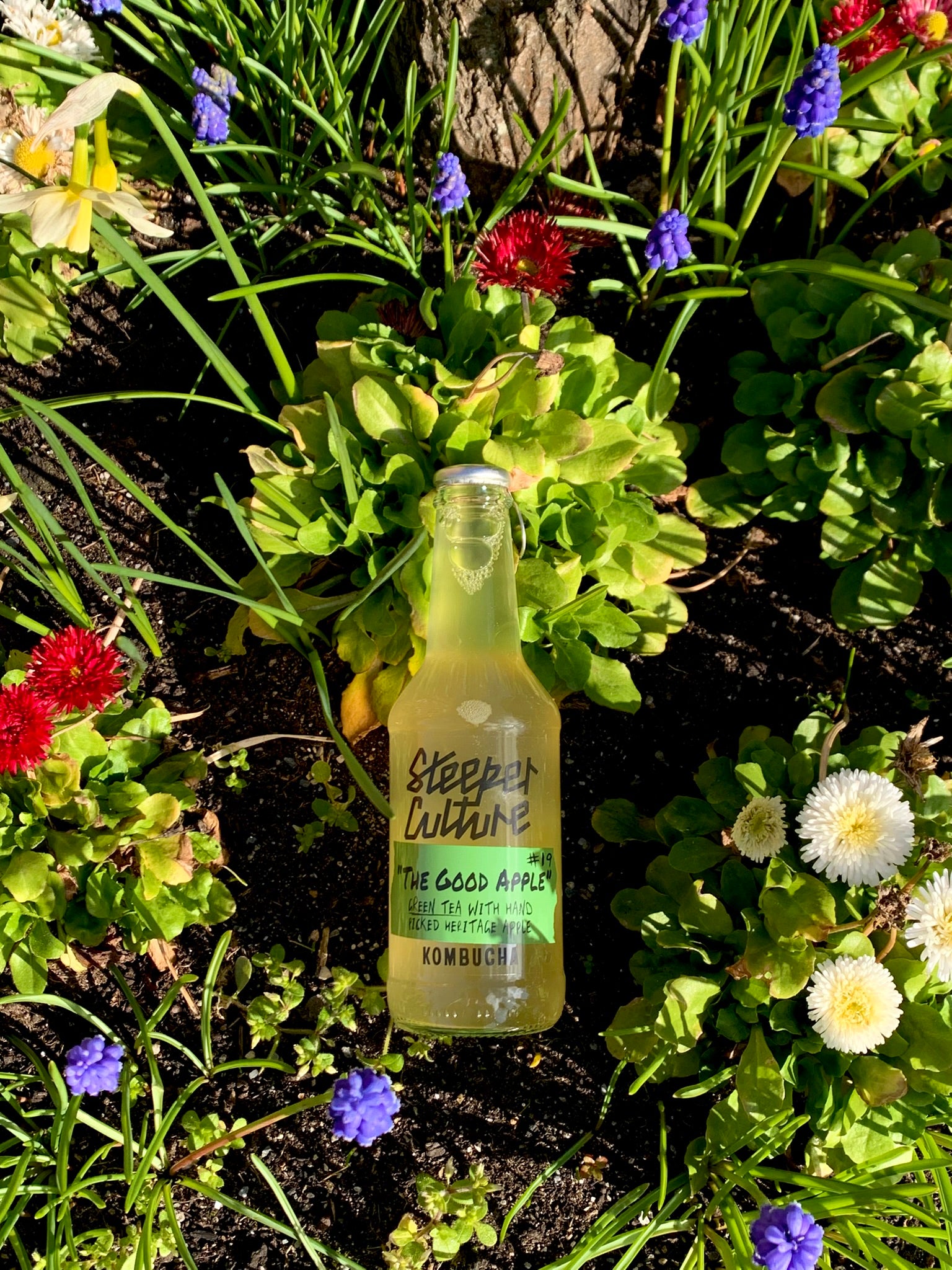 Ballylisk of Armagh - Step into Spring Bundle - Cheese Hamper