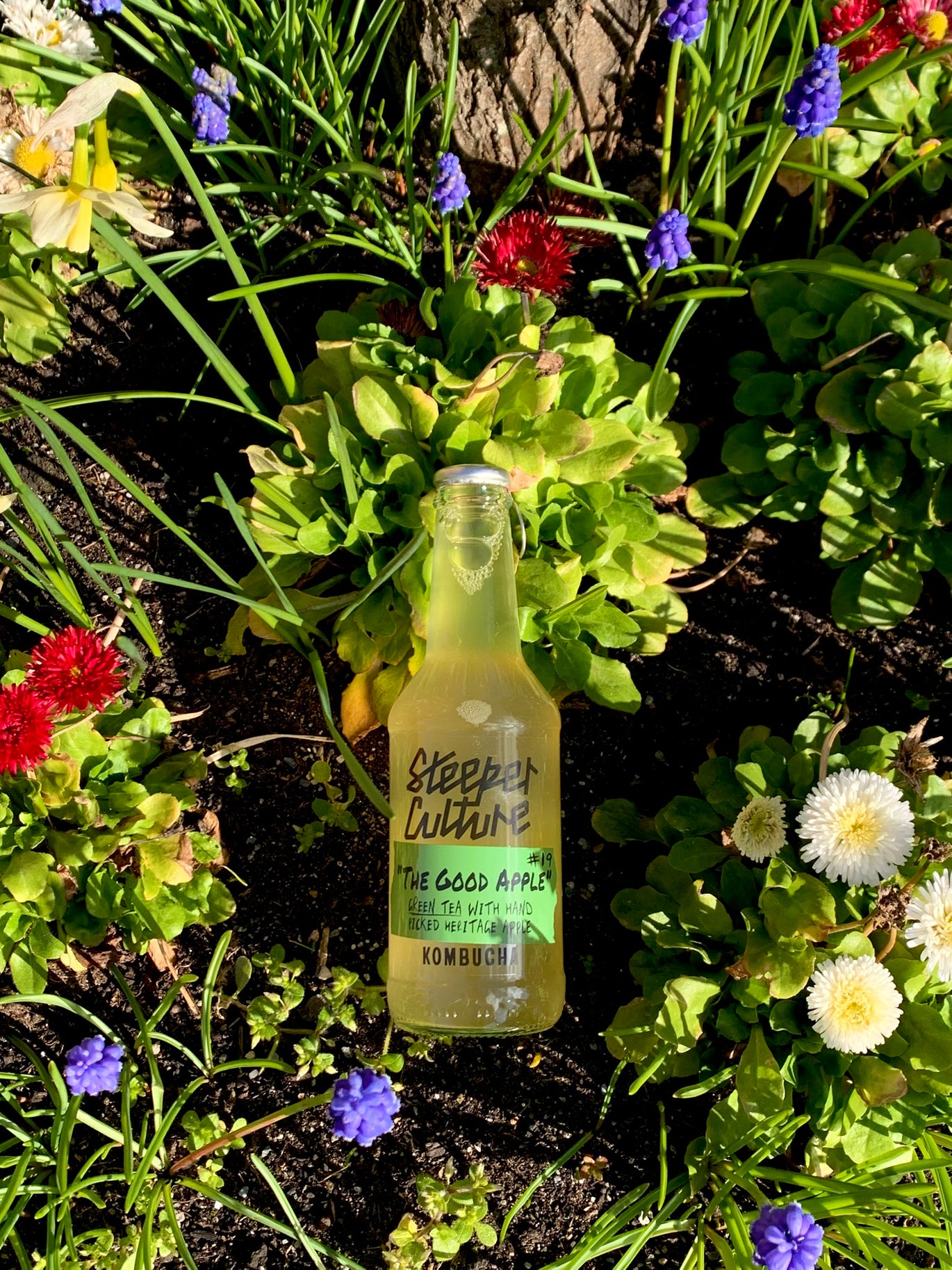 Ballylisk of Armagh - Irish Artisan Cheese Producer of Triple Rose